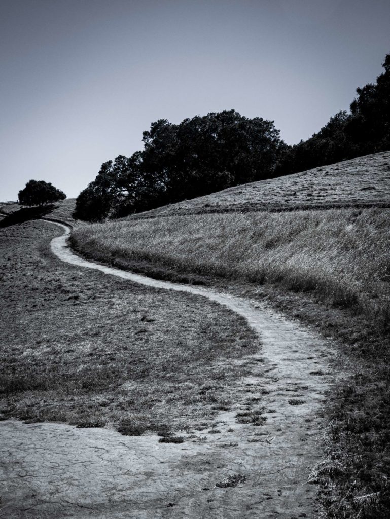 Learning to Fall, Prepared to Fall, But Watching Out for — and ...